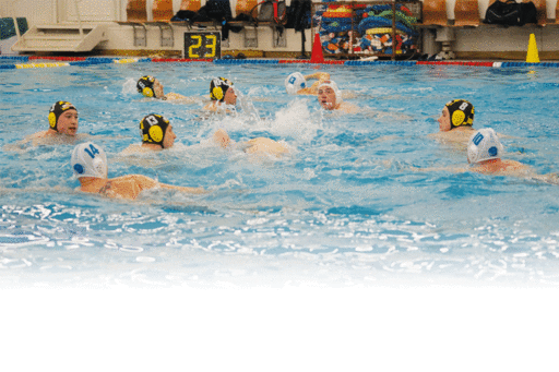 Schwimm-Club Chemnitz von 1892 e.V. Wasserball - Pulstreiber